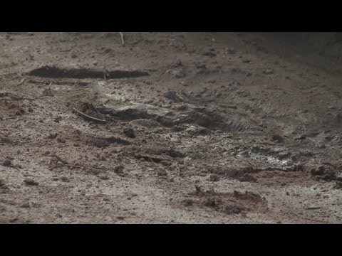 Footprints help police catch thieves