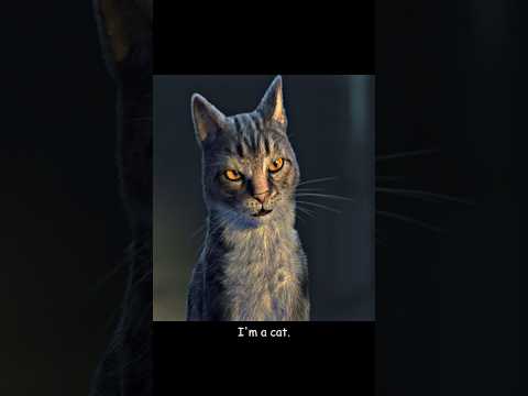 Robots discover the Cat's Shocking Secret! ???? #shorts #lovedeathandrobots