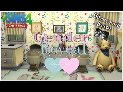 The Sims 4 Cats And Dogs/Ultrasound Scan & Gender Reveal/Ep. 21