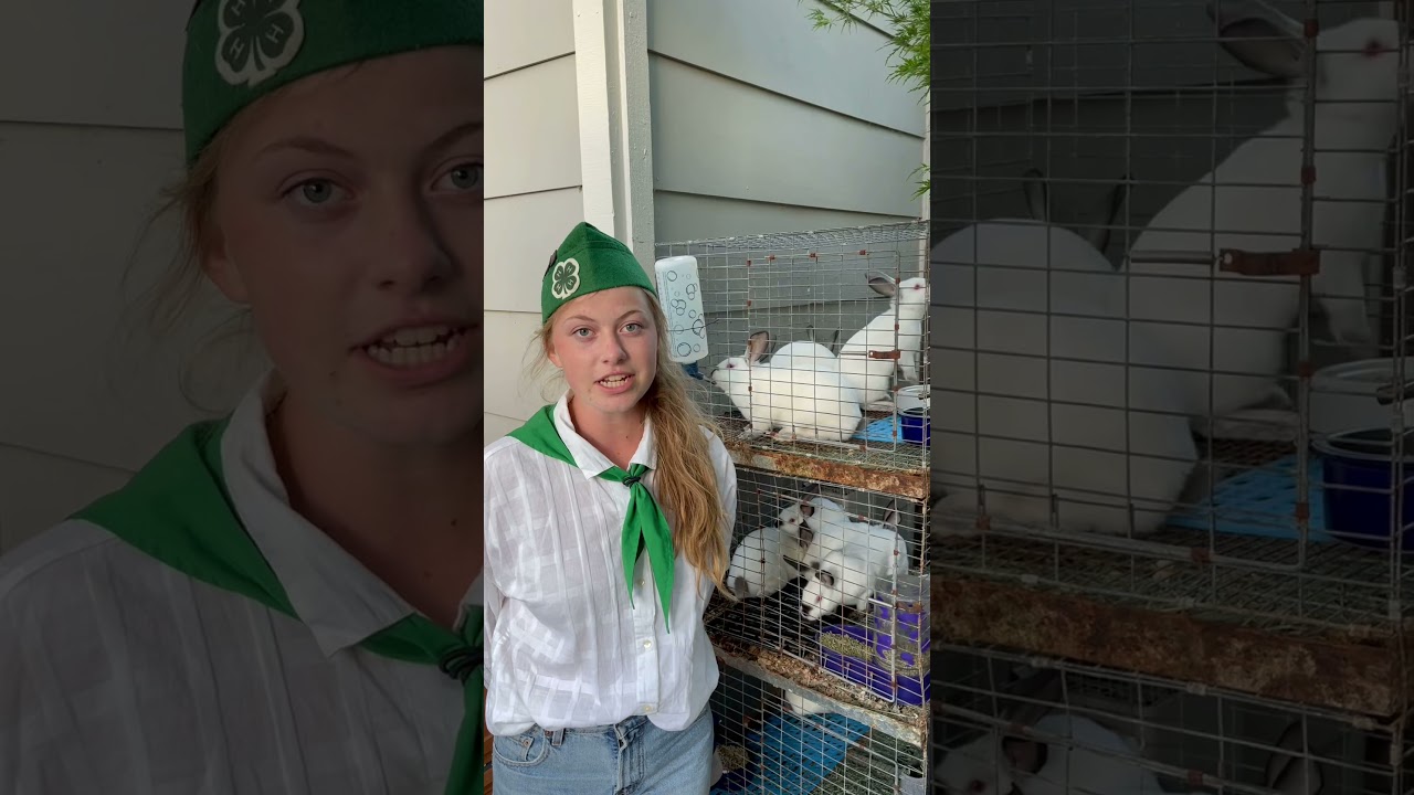 Adriana Novak - Alexander Valley 4-h Market Rabbits