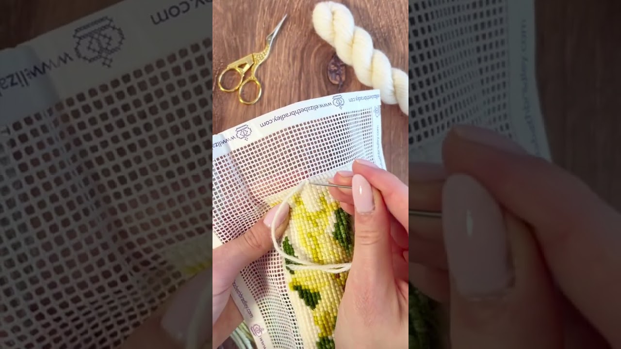 Needlepoint Starter Kits