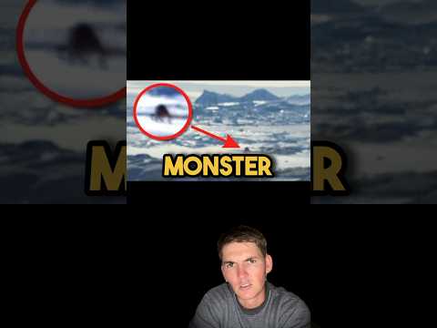 Antarctica Giant Spider Cryptid Explained 😟