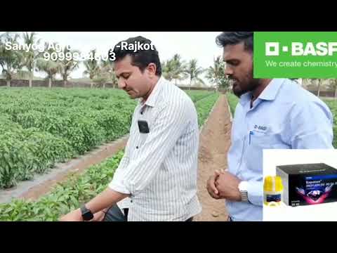 BASF Insecticides - Latest Price, Dealers & Retailers in India