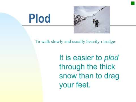 unit 5 vocab -voice over