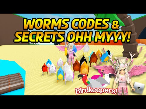 ALL The Codes SECRETS & ZONES in the NEW Roblox Bird Keepers 1st Update!!