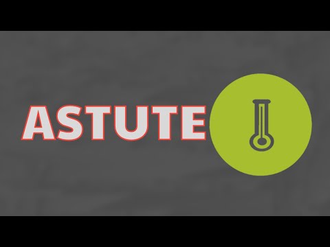 What Does ASTUTE Means || Meanings And Definitions With Example in ENGLISH