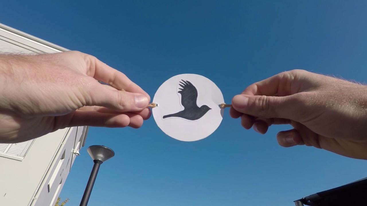Flying Thaumatrope