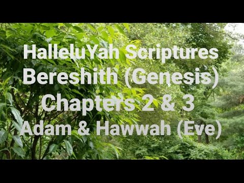 HalleluYah Scriptures Bereshith (Genesis) Chapters 2 and 3 - Adam and Hawwah (Eve)