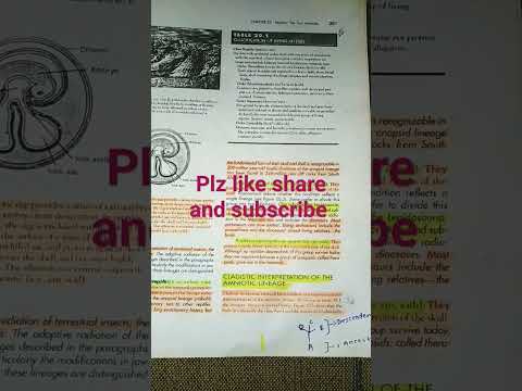 cladistic interpretation of amniotic lineage.zoology miller and harley.urdu/hindi#BSC #BS#ADS#NCRT