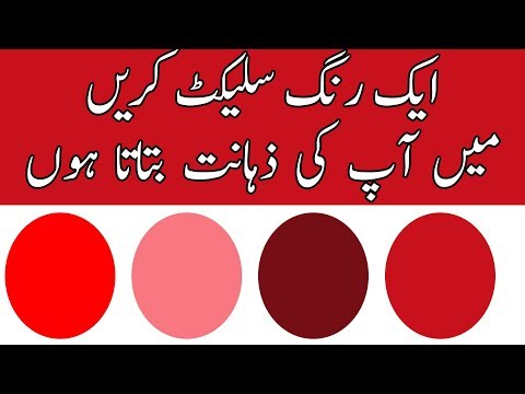 What Is Your Mental Age || IQ Test || Urdu
