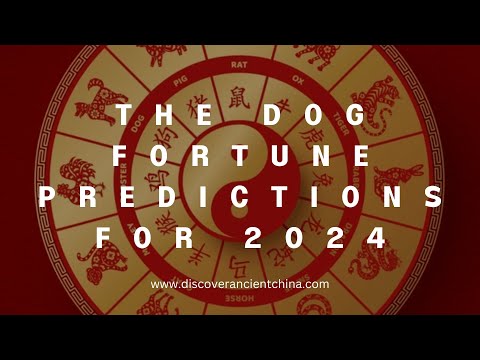 The Dog Fortune Predictions for 2024