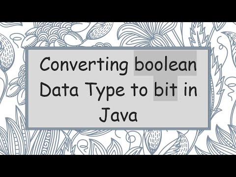 Converting boolean Data Type to bit in Java