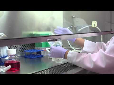 Sterile Tissue Culture