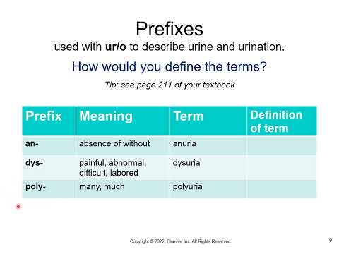 Medical Terminology: Chapter 6 Urinary System