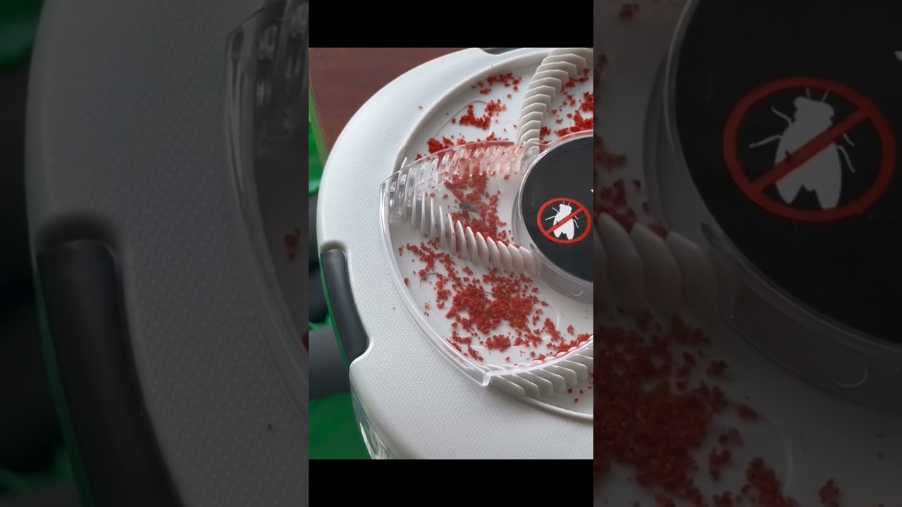 AmazingChina: Fly Trap 🪰