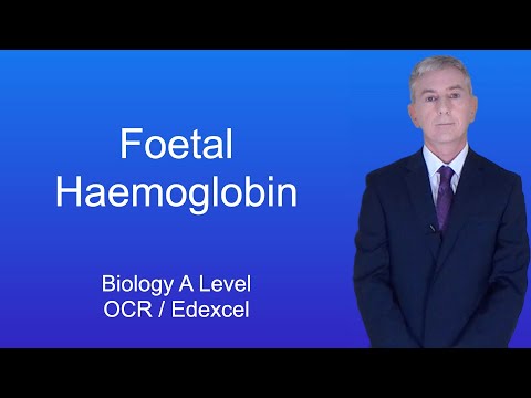 A Level Biology Revision "Fetal Haemoglobin (OCR/Edexcel).