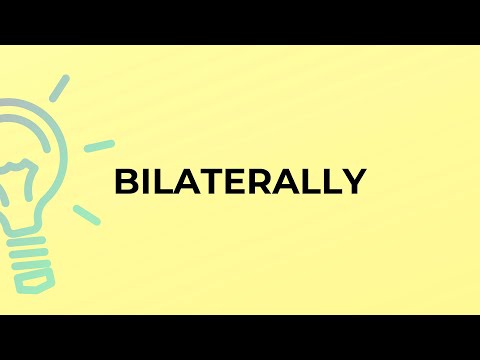 What is the meaning of the word BILATERALLY?