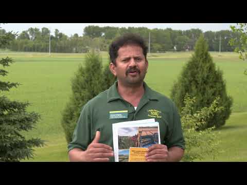 LREC Venkat Chapara: Canola Disease Update