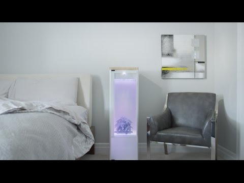 Grobo creates app-controlled indoor gardening system