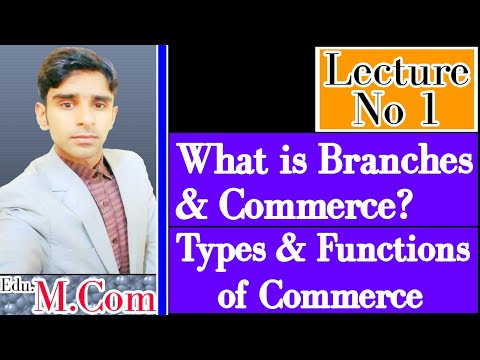 What is a commerce? | Introduction,Meaning,Branches,Types & Importance in Urdu | Commerce Lecture 1