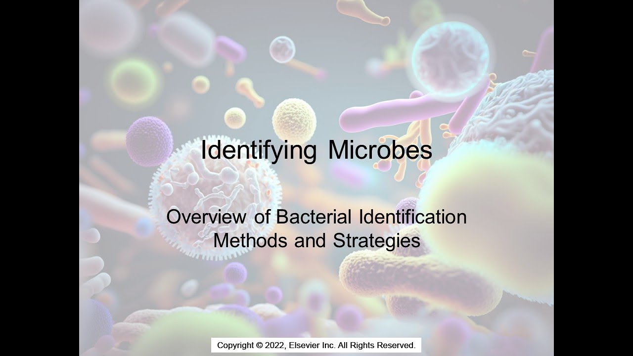 Bacterial Identification Methods