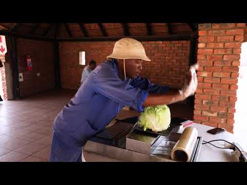 Benefits of diversification in farming