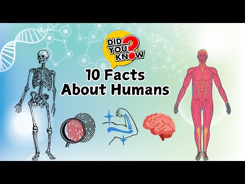 10 Amazing Facts of Human Body | Educational Video for Kids