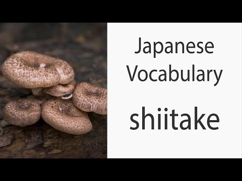How to say "Shiitake Mushroom" in Japanese