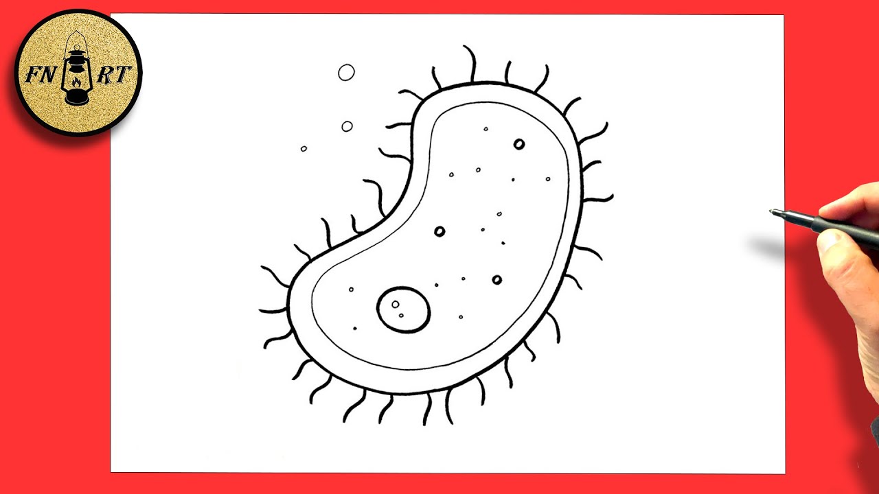 How to draw a germ easy step by step
