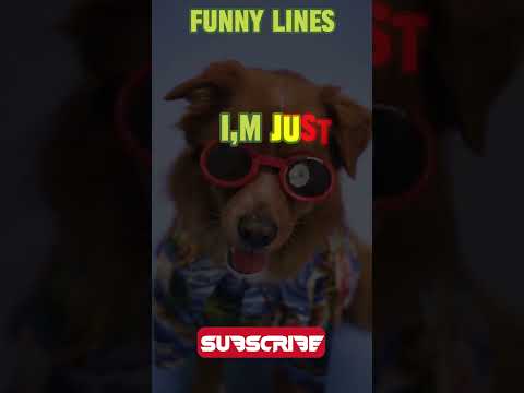 Learn Entertainment funny lines funny quote which make smile on your faces funny lines @ viral video