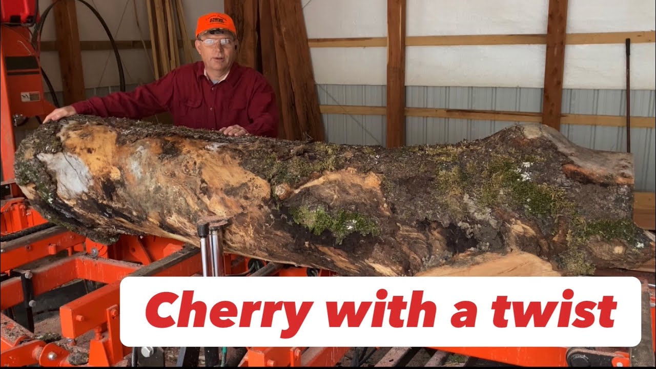 Sawing Black Cherry with Character