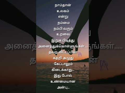 True Love Quotes in Tamil #shortvideo #shorts #short #trending #trendingshorts #lovesong #trueline