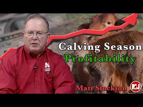 Choosing the Best Calving Season with Matt Stockton | April 5, 2019