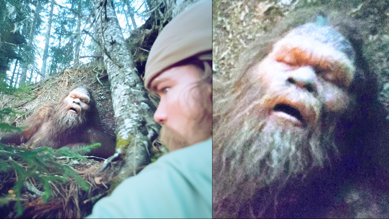 Where Are All Bigfoot Bodies? Here’s Why We Can’t Find Any Footage of ...