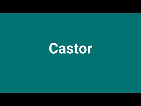 'Castor' Meaning and Pronunciation