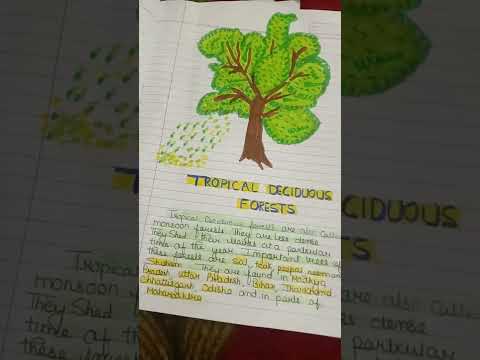 Geography#Tropical Deciduous Forests🌳🌿