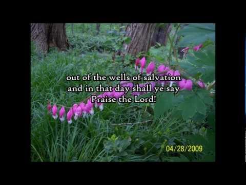 Cry Out and Shout! – Linda's Bible Study