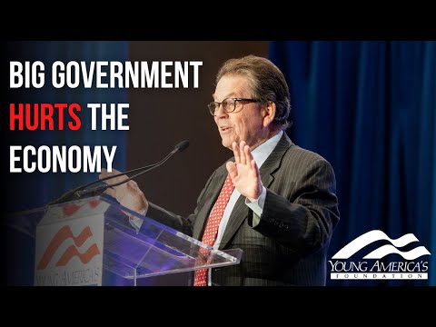 NO BIG GOV: How Government Intervention Hurts the Economy More Than It Helps