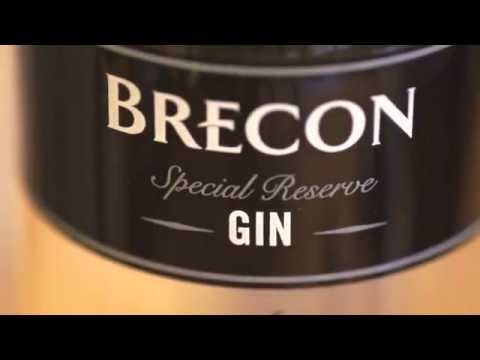 Penderyn Distillery Brecon Gin