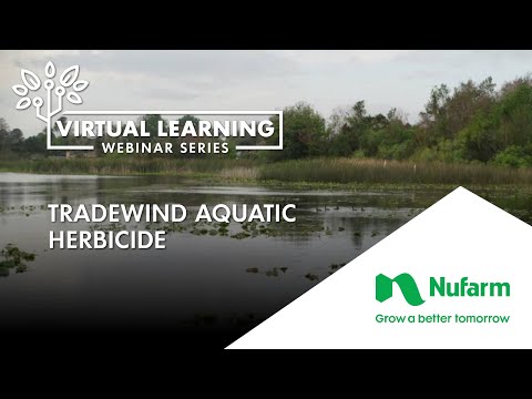 Tradewind Aquatic Herbicide