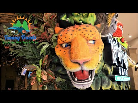 Rainforest Cafe Mall Of America Adventure