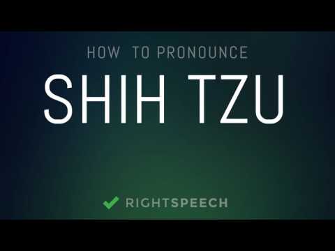 Shih Tzu - How to pronounce Shih Tzu