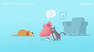 FILMIC ART Reviews and Clients | DesignRush