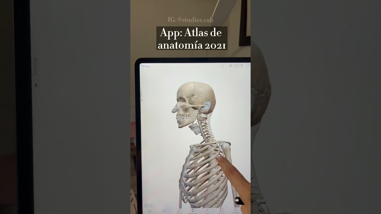 The best app for ANATOMY | Studiescah