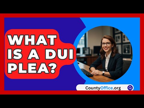 What Is A DUI Plea? - CountyOffice.org
