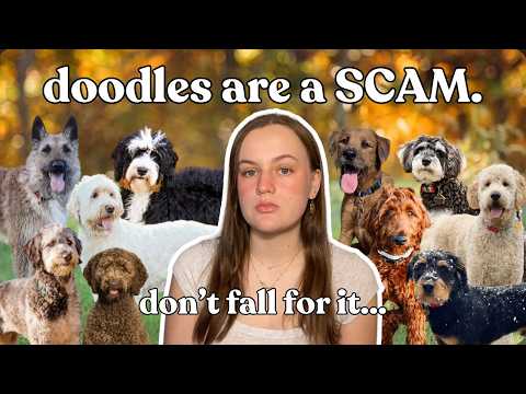 The Doodle Problem | Was Your Dog Unethically Bred?