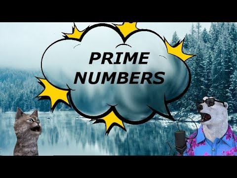Prime Numbers
