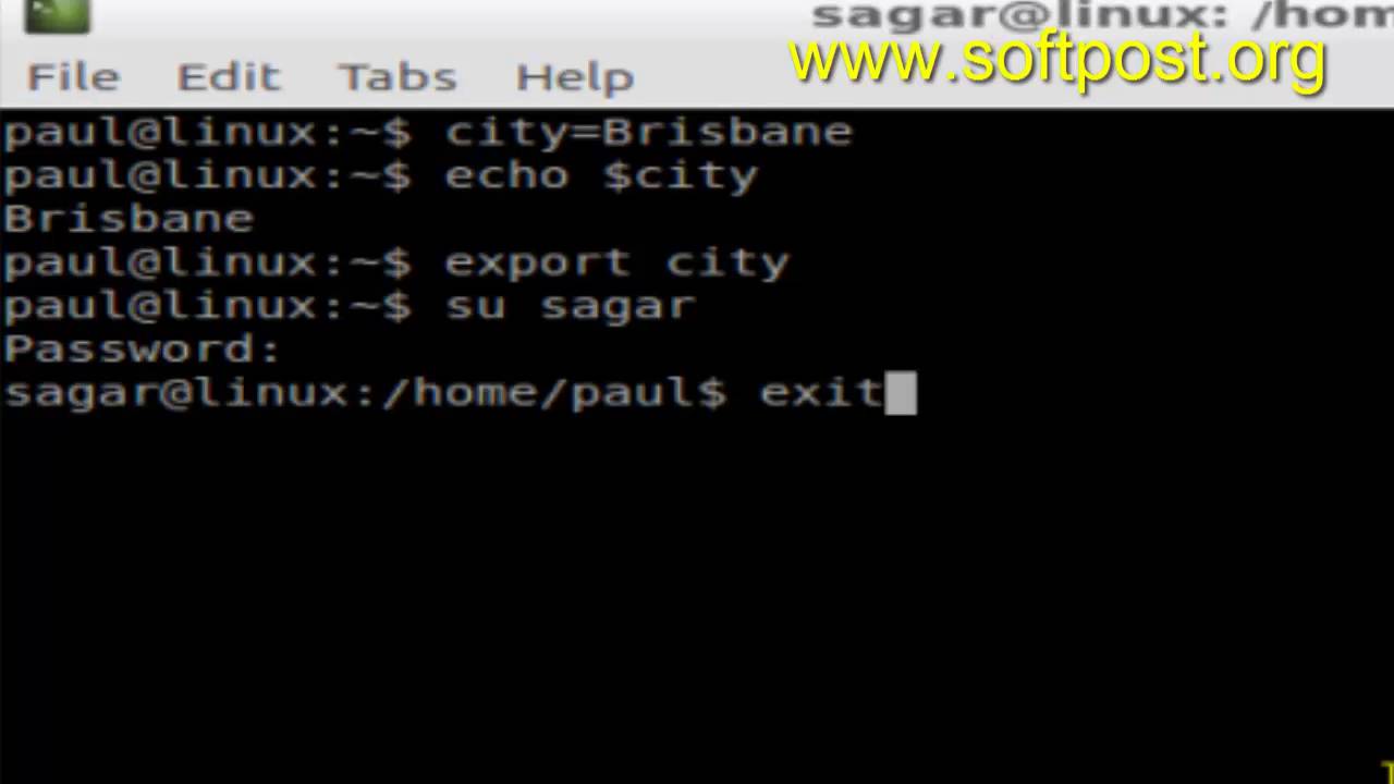 How to export environment variable in Linux