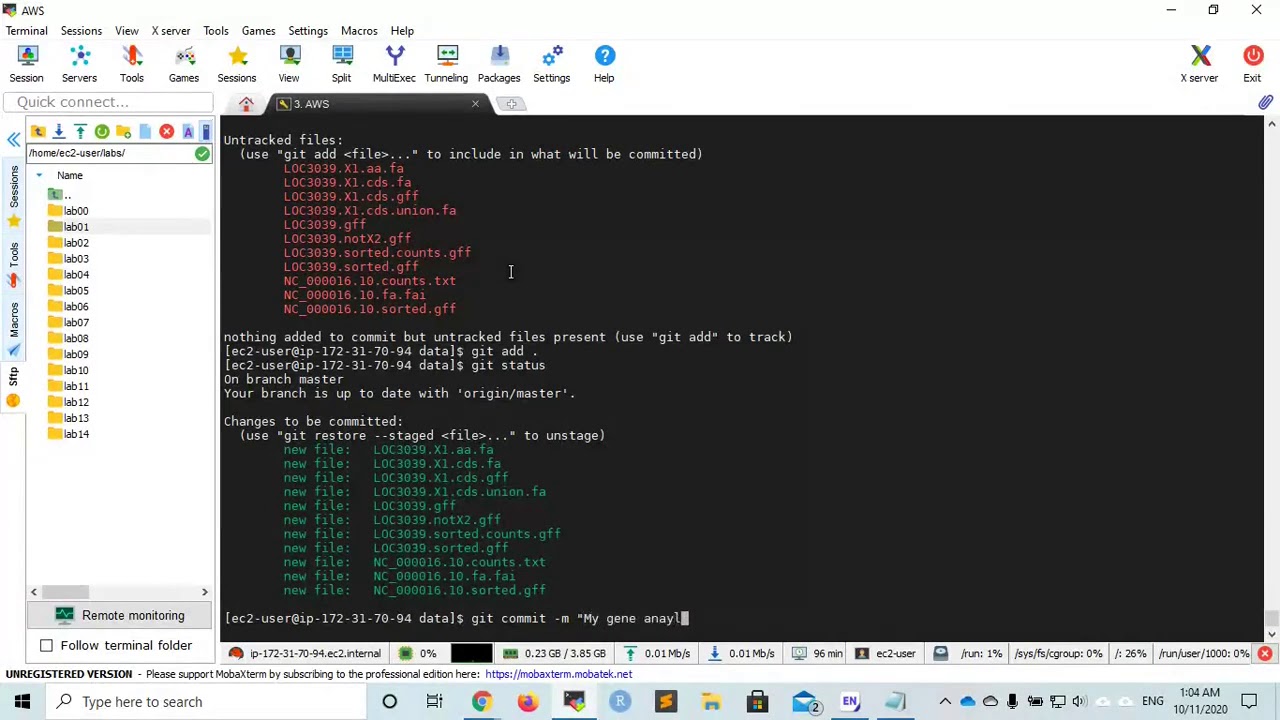 Bioinformatics 11: Pushing files into GitHub using git on the terminal.