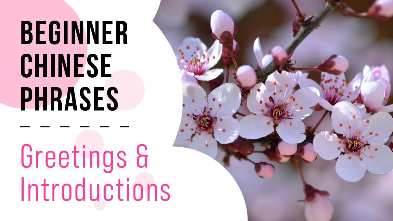 Basic Greetings and Introducing Yourself | Beginner's Chinese Phrases #1